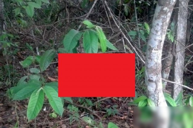 死体 アーカイブ - 61ページ目 (80ページ中) - ポッカキット