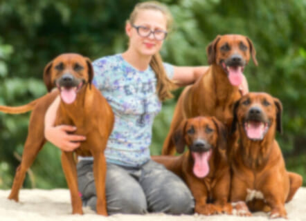 【閲覧注意】「多頭飼いおばさんの孤独死現場」とかいう地獄のような現場写真が流出（画像あり）